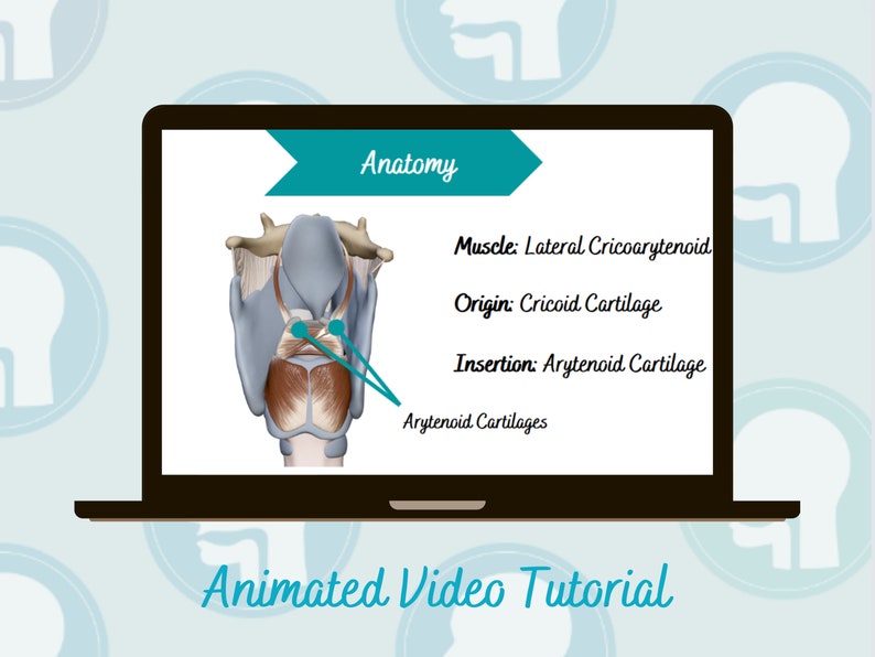 Adult Speech Therapy DYSPHAGIA COURSE (airway Protection) Speech ...