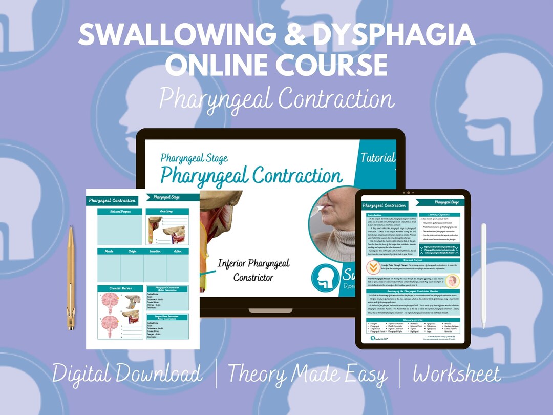 Adult Speech Therapy DYSPHAGIA COURSE (pharyngeal Contraction) Speech ...