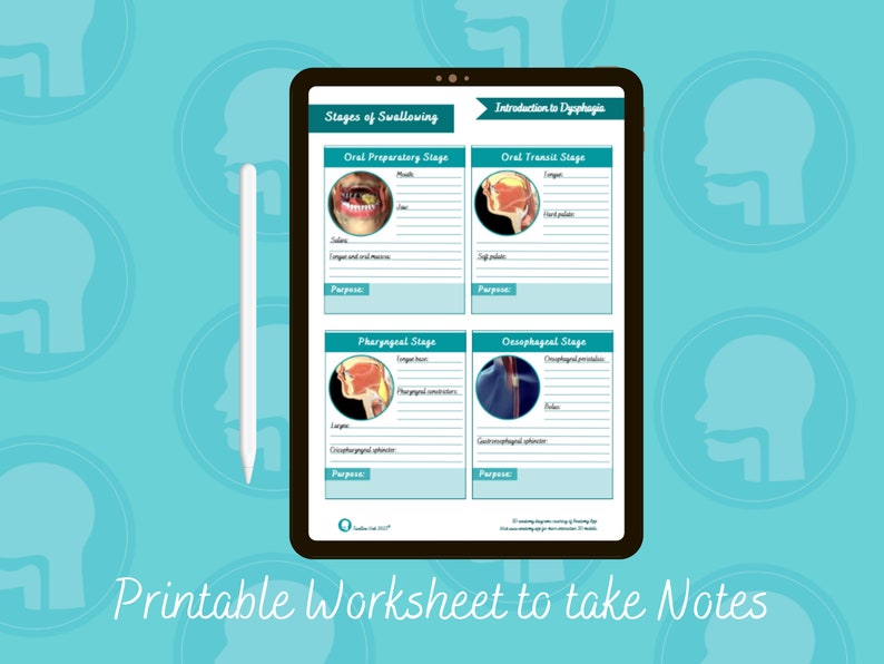 Adult Speech Therapy DYSPHAGIA COURSE (stages of Swallowing) Speech ...