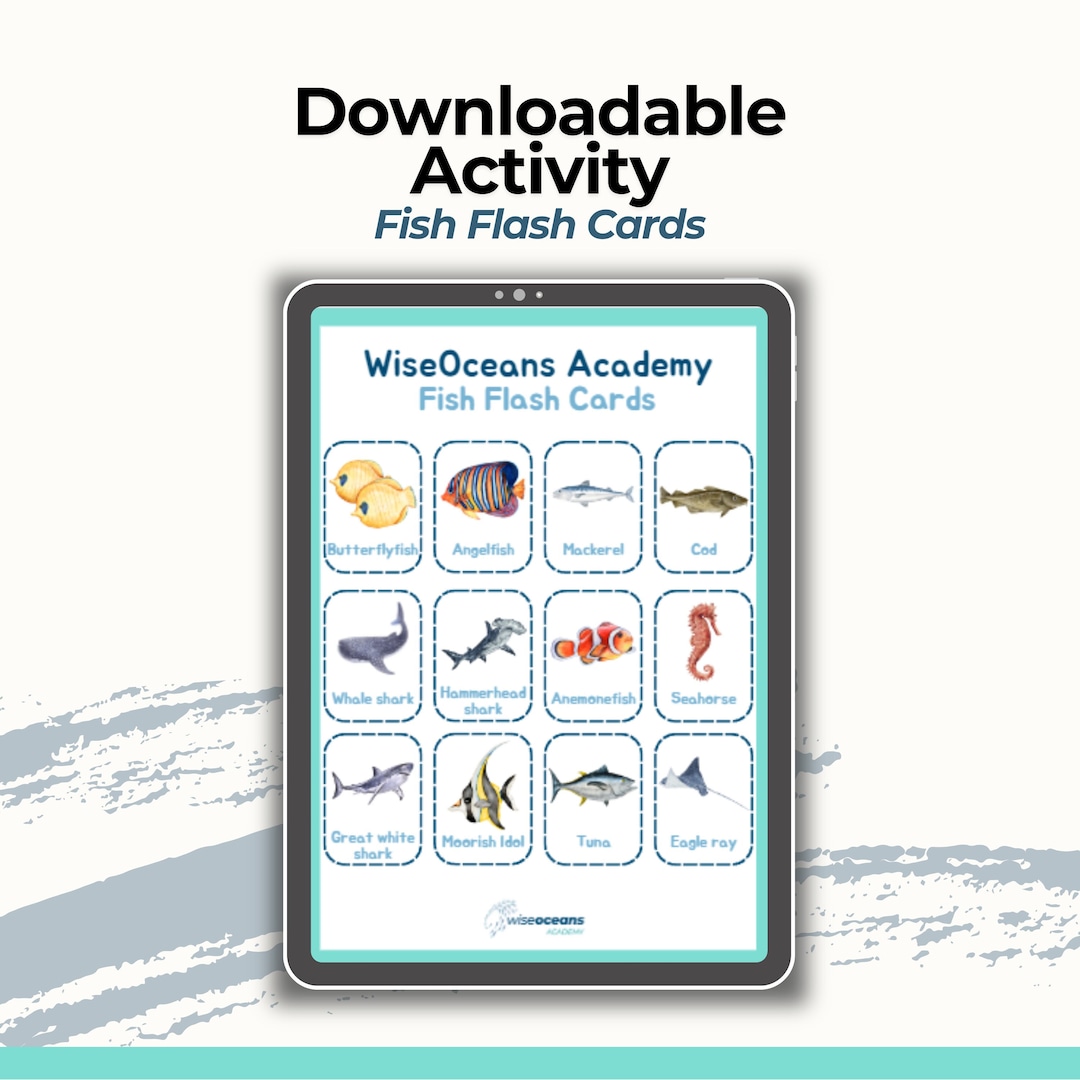 Downloadable Educational Ocean Activity - Fish Flash Cards - Etsy