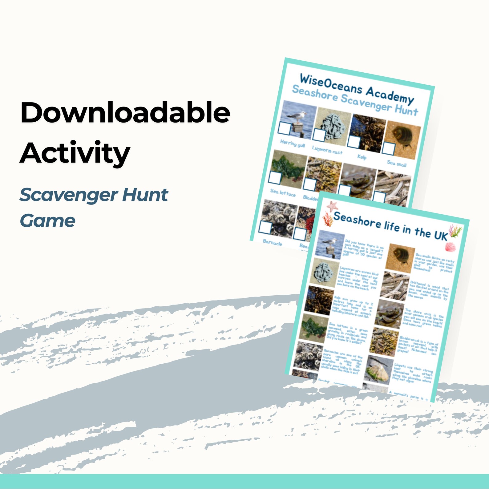 Downloadable Educational Ocean Activity - Seashore Scavenger Hunt Game ...