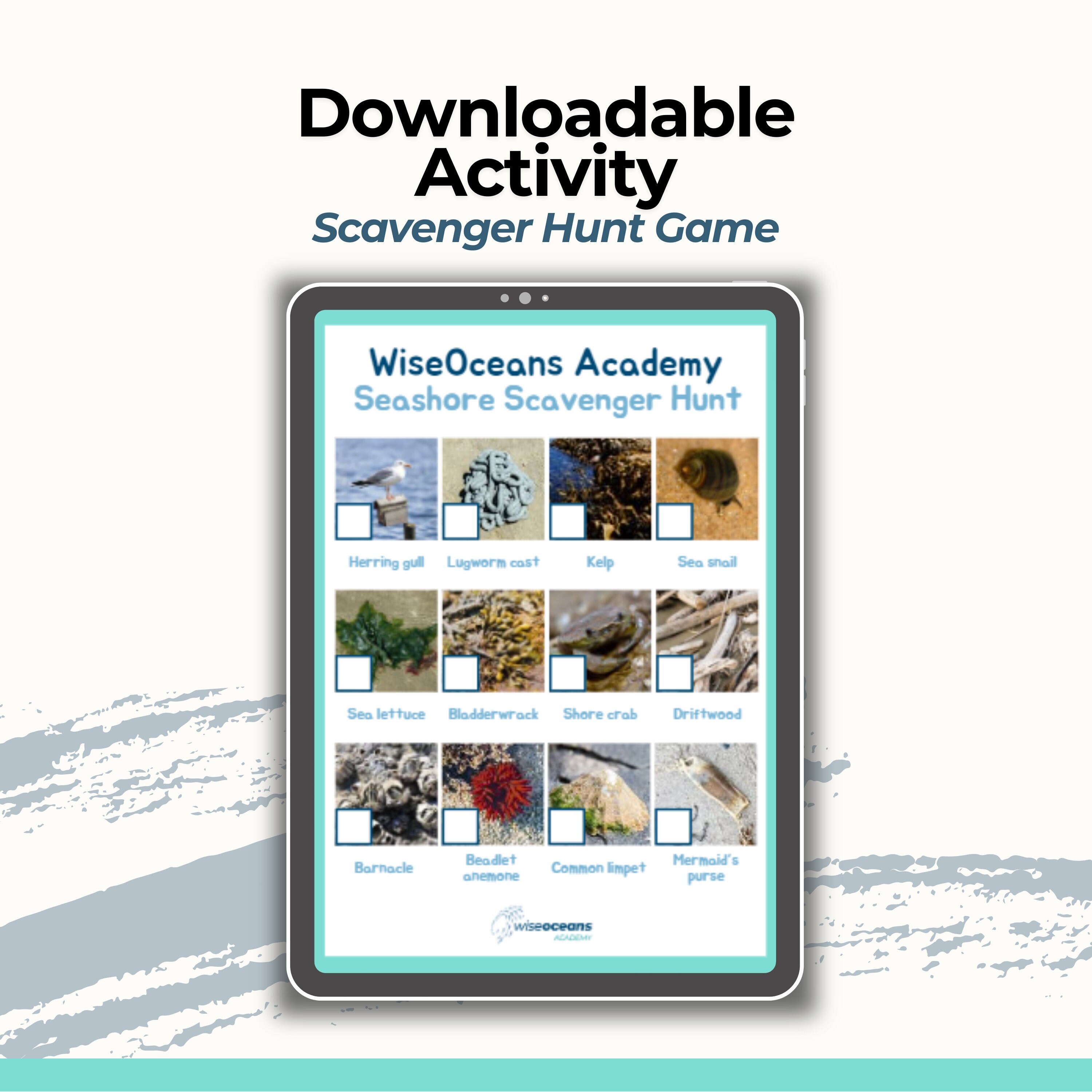 Downloadable Educational Ocean Activity - Seashore Scavenger Hunt Game ...