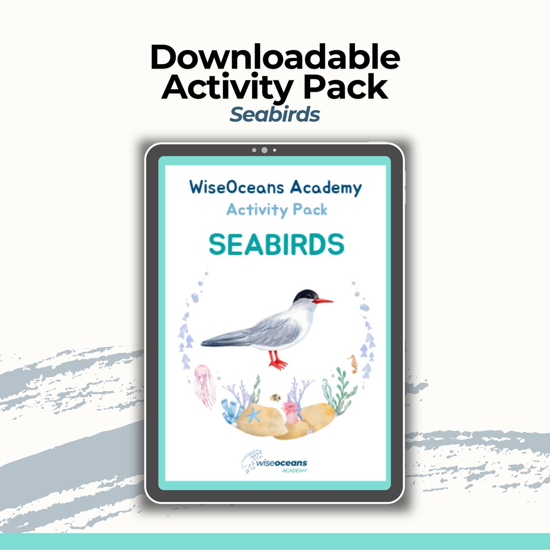 Downloadable Educational Ocean Activity Pack - Seabirds Themed - Etsy