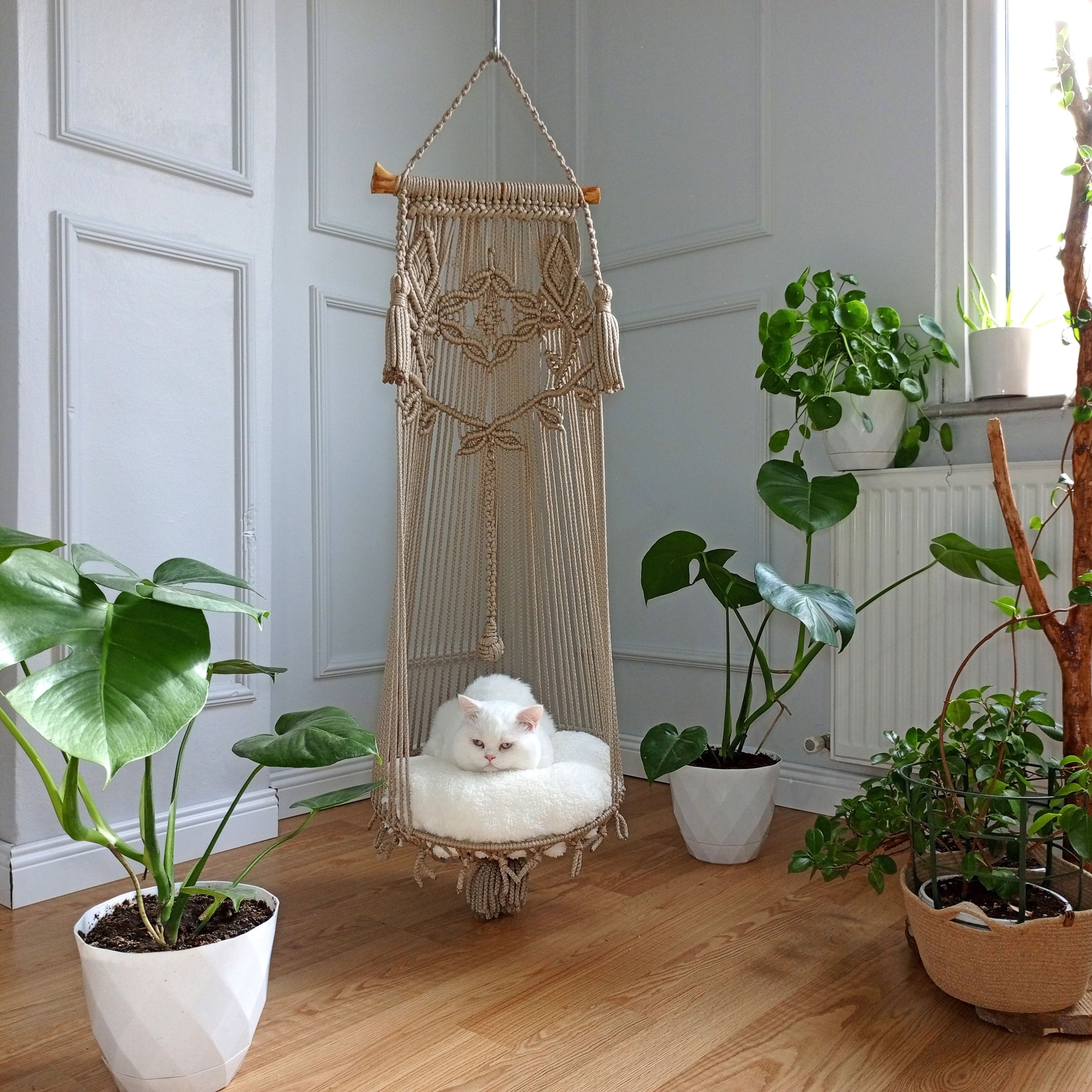PDF Instructions for Macrame Cat Hammocks DIY Without Materials,cat ...