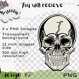 Skull Clip Art, Skull PNG, Human Skull PNG, Skull Head SVG, Skull ...