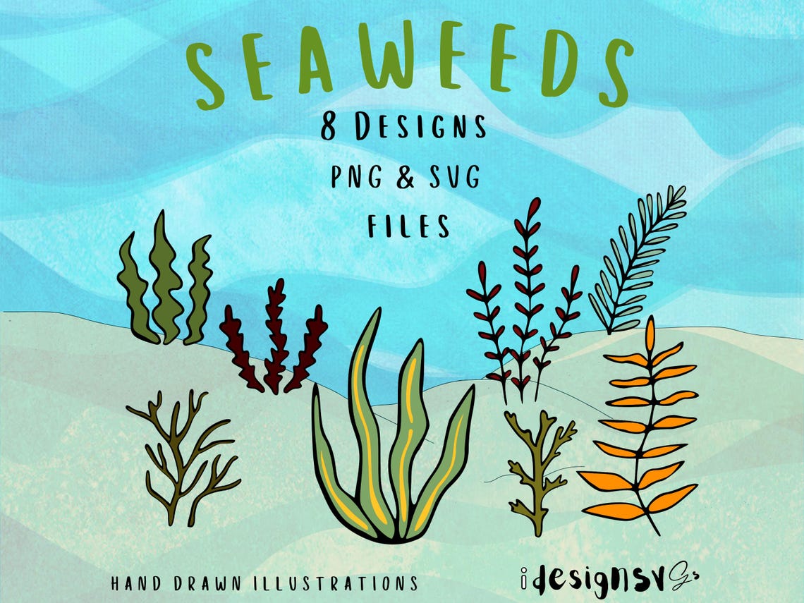 Seaweed Clipart, Kelp Forest, Seaweed SVG, Seaweed Vector, Kelp Clipart ...