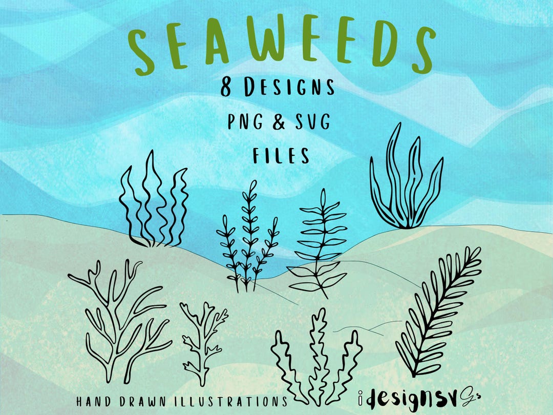Seaweed Outline, Seaweed Clipart, Kelp Forest, Seaweed SVG, Seaweed ...