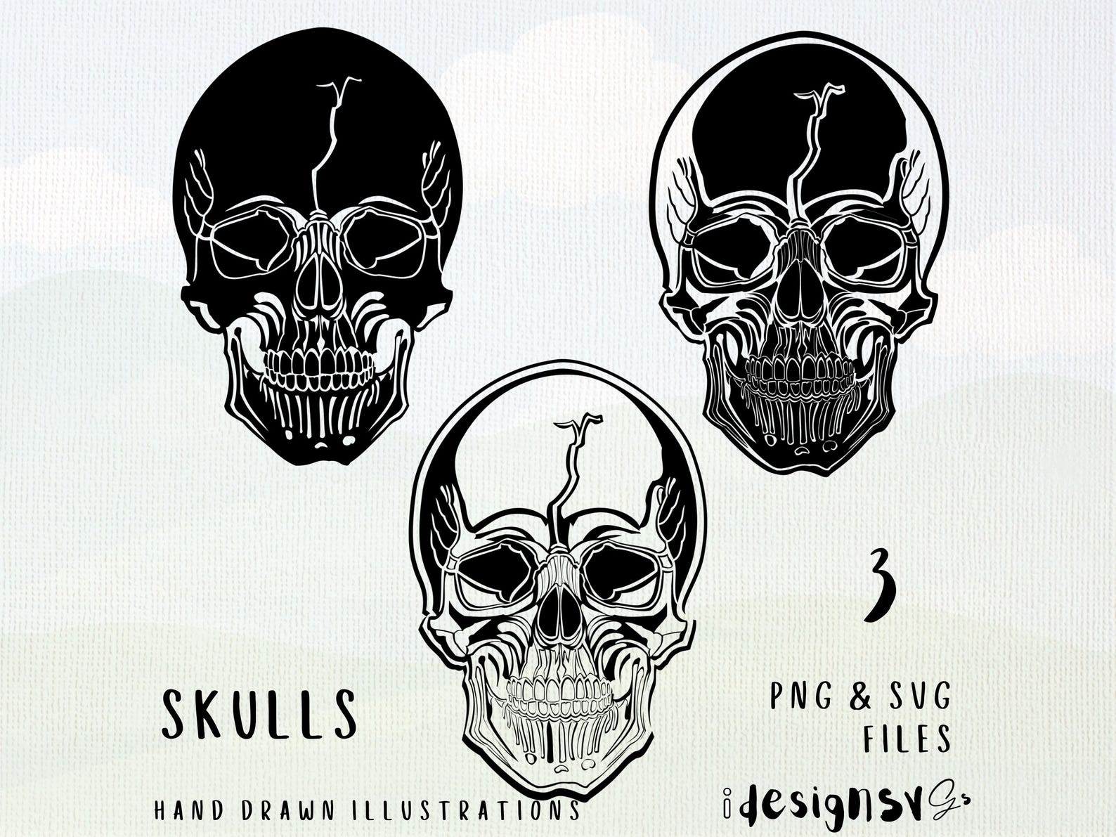 Skull Clip Art, Skull PNG, Human Skull PNG, Skull Head SVG, Skull ...
