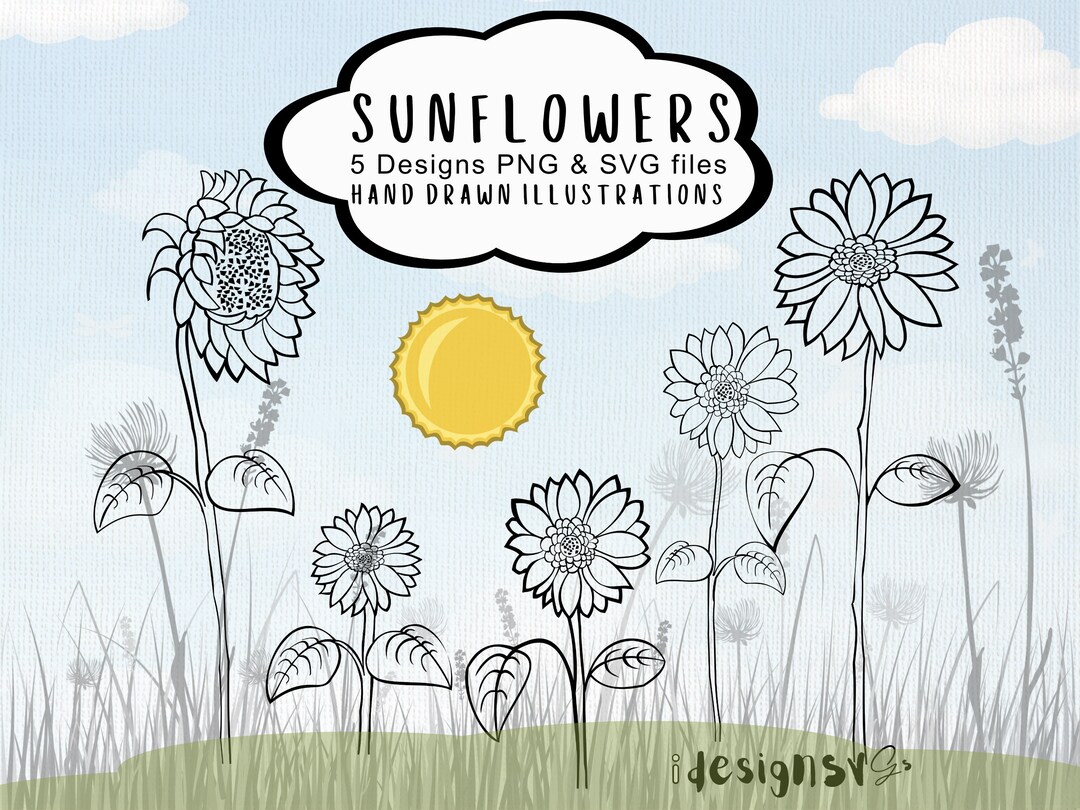 Sunflower Outline, Floral Line Art, Floral Line Drawing, Flower Line ...