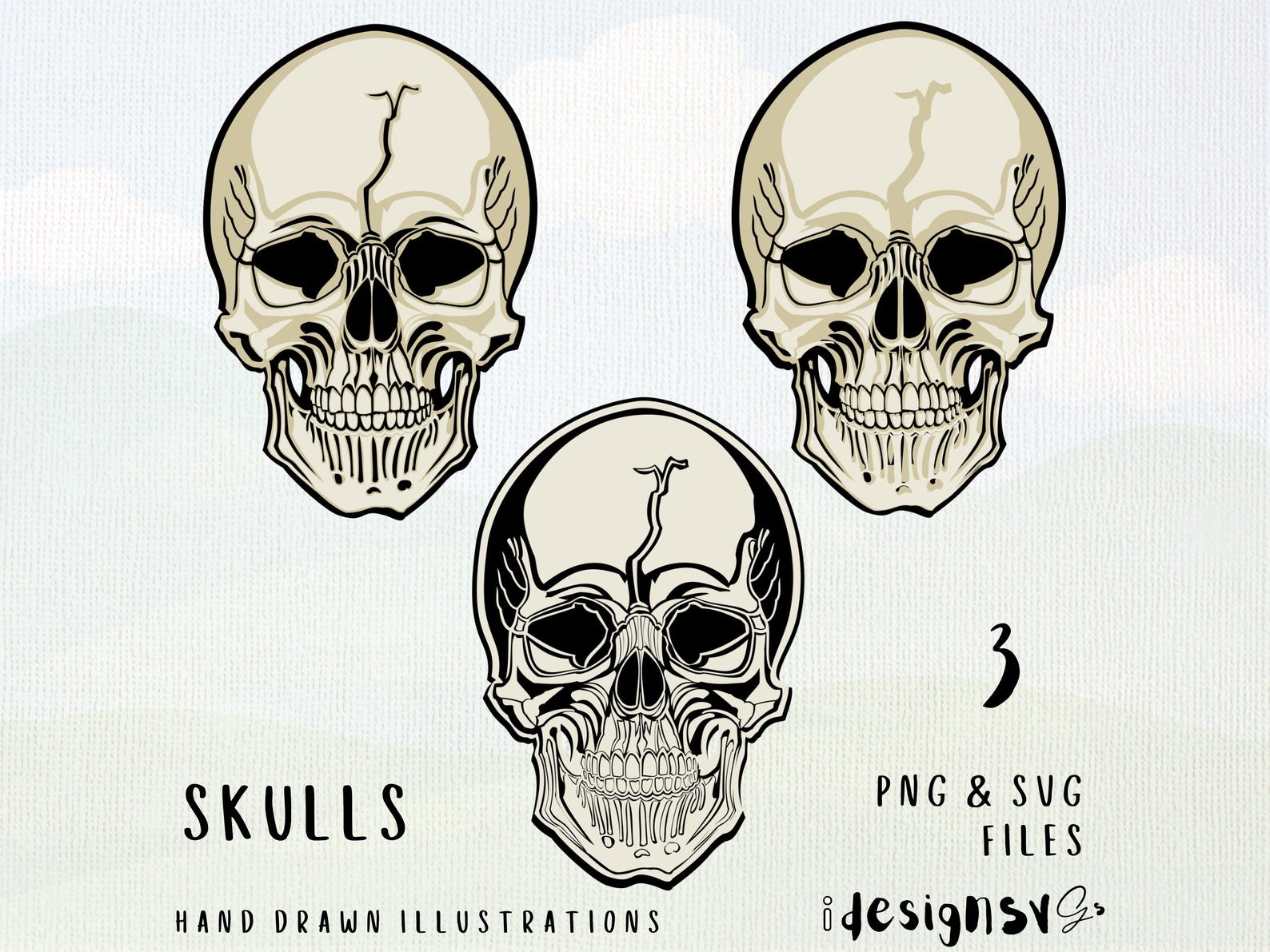 Skull Clip Art, Skull PNG, Human Skull PNG, Skull Head SVG, Skull ...