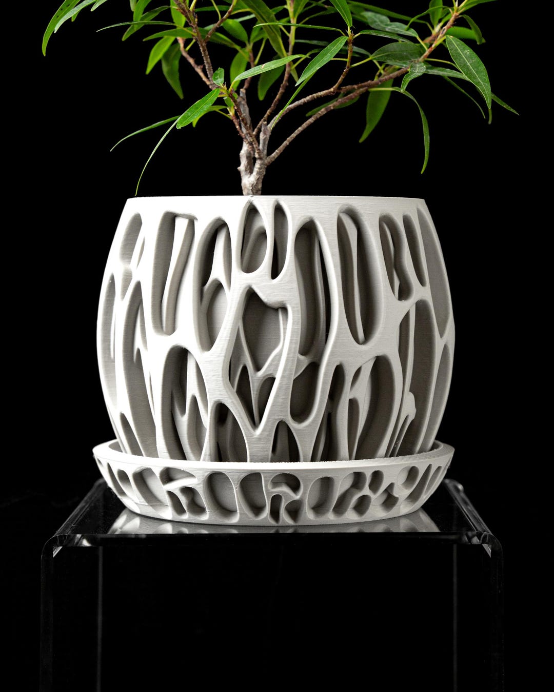 Extravagant Plant and Flower Pot | SLIME | Planter | Design Object for ...