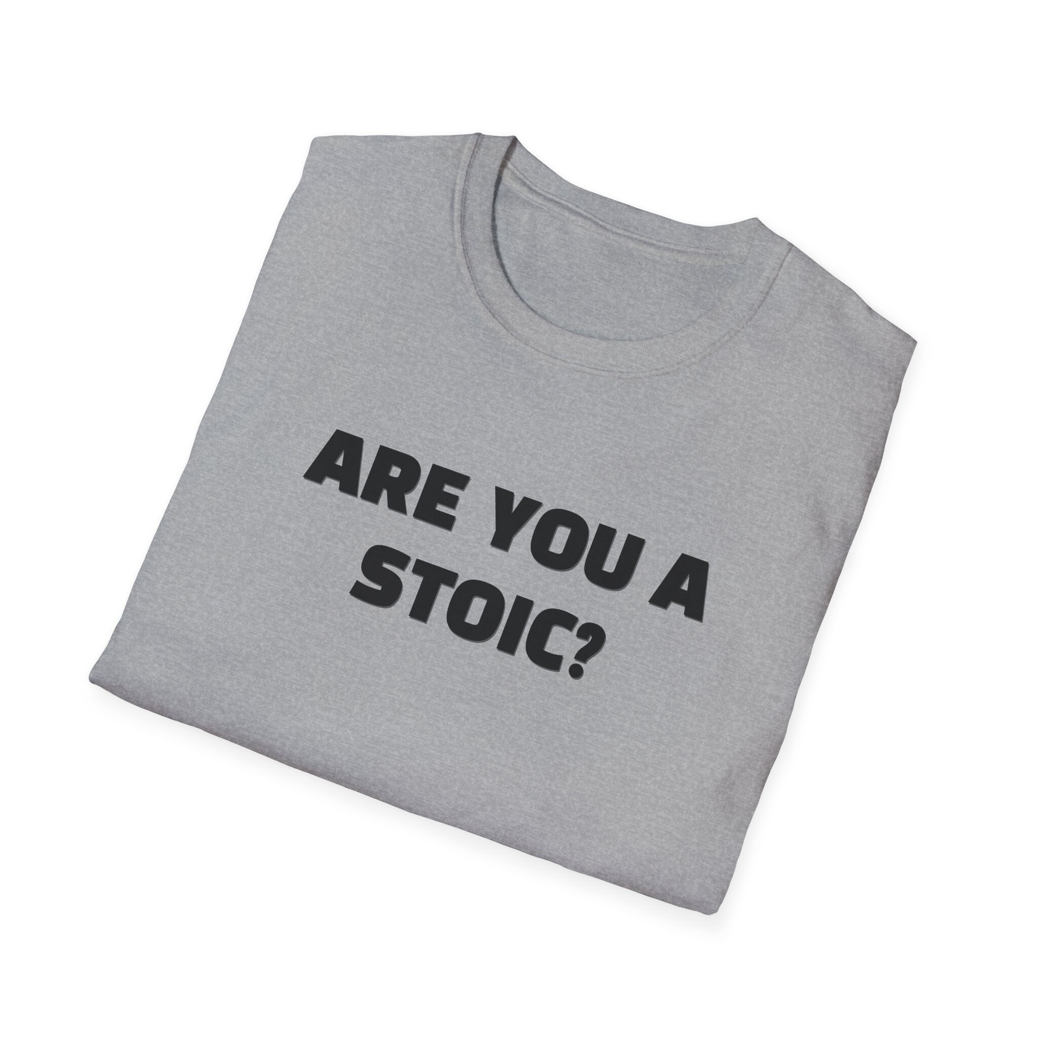 ARE YOU A STOIC, Soft Stoic Shirts, Stoicism Gift, Stoic Virtue Shirt ...