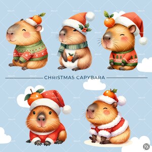 Capybara Christmas PNG, Watercolor Clipart Bundle, Capybara Santa, Cute ...