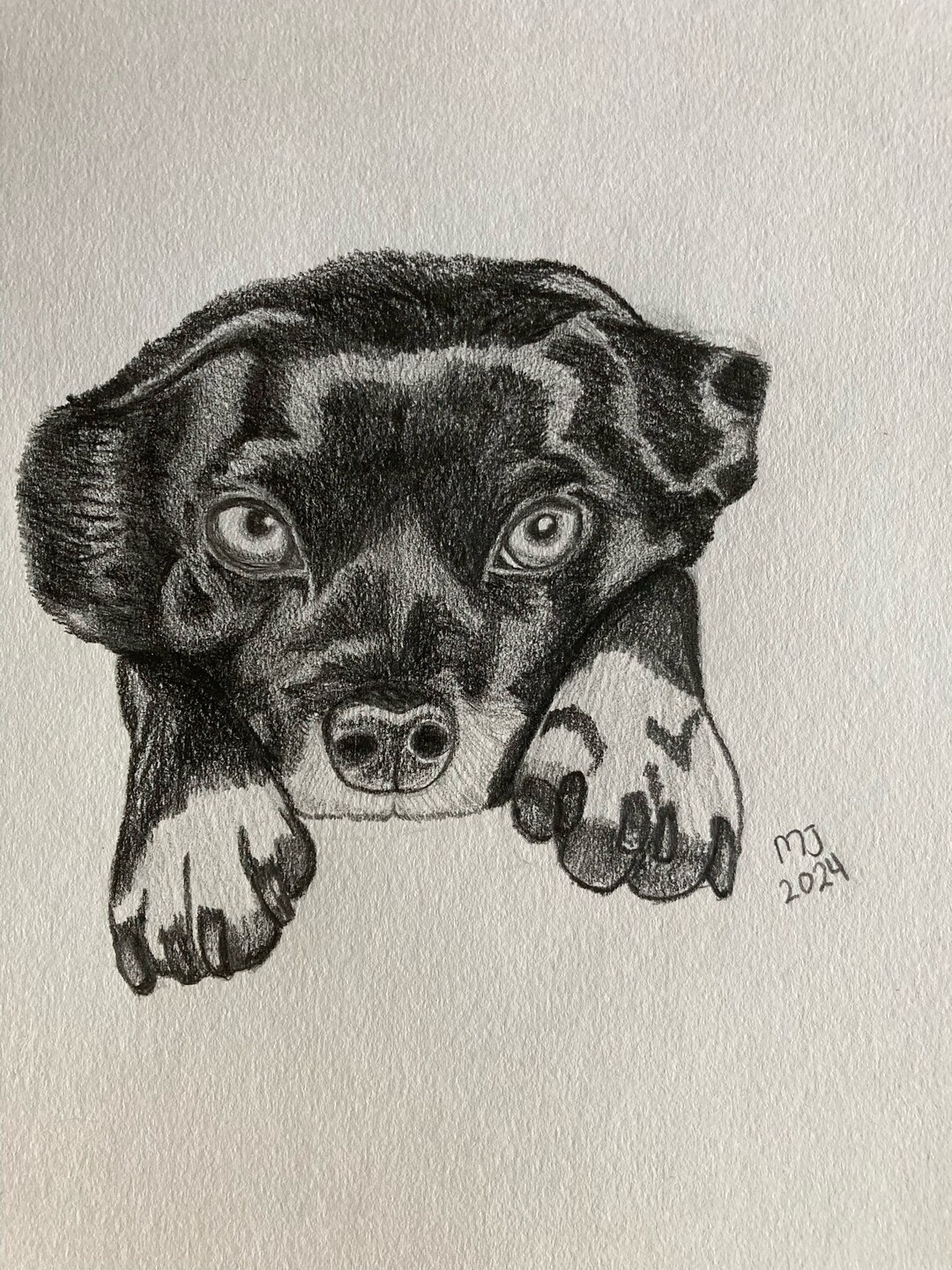 Custom Hand Drawn Graphite Dog Pet Portrait Have Your Dog Drawn in ...