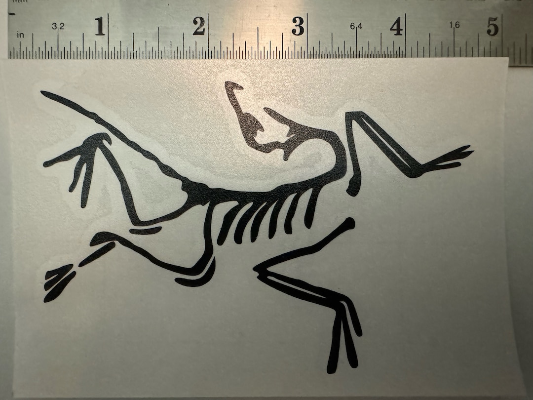 Arc'teryx Sticker / Decal - Etsy