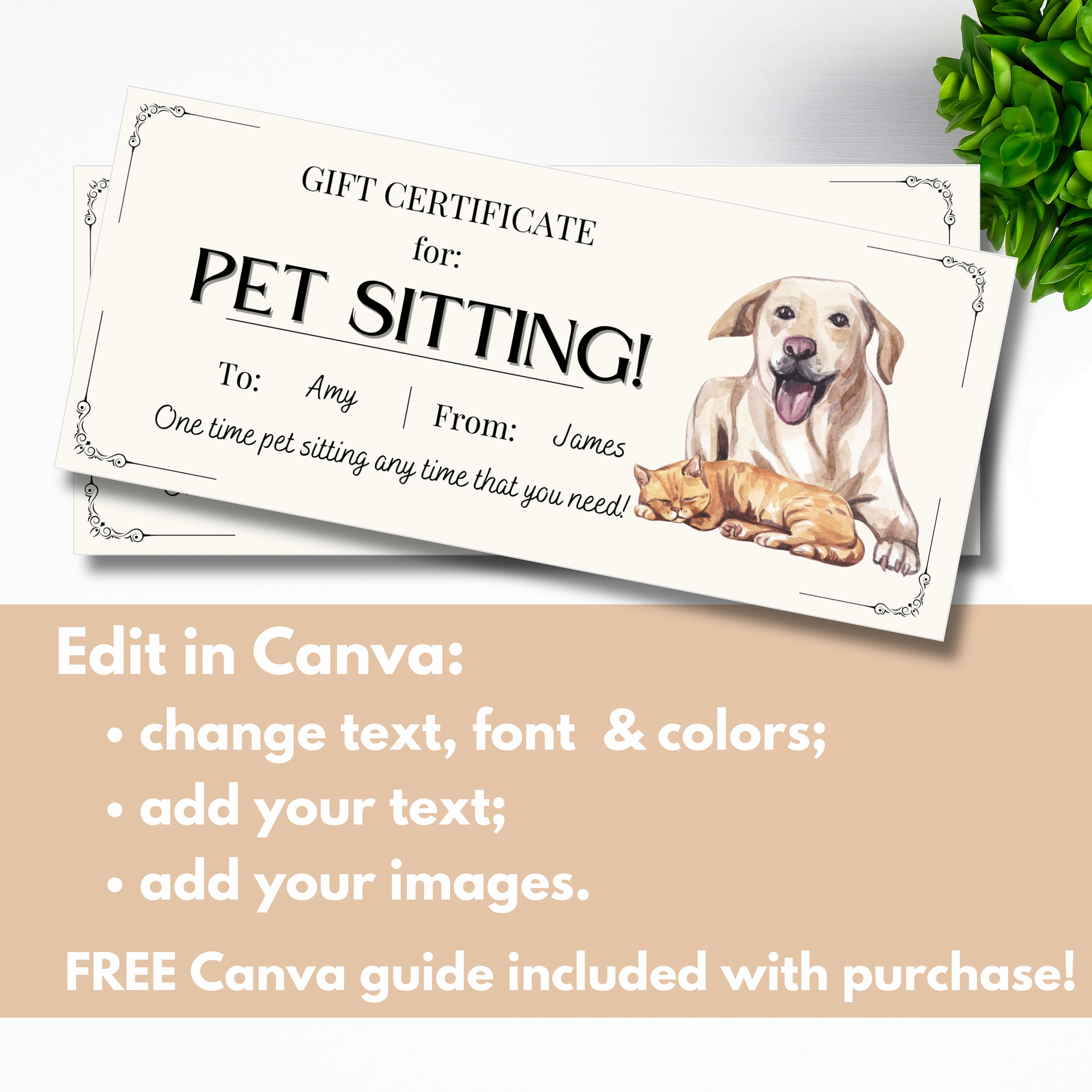 Pet Sitting Gift Certificate Template, Pet Sitter Gift Voucher Printable, Dog Walker Gift Coupon ...
