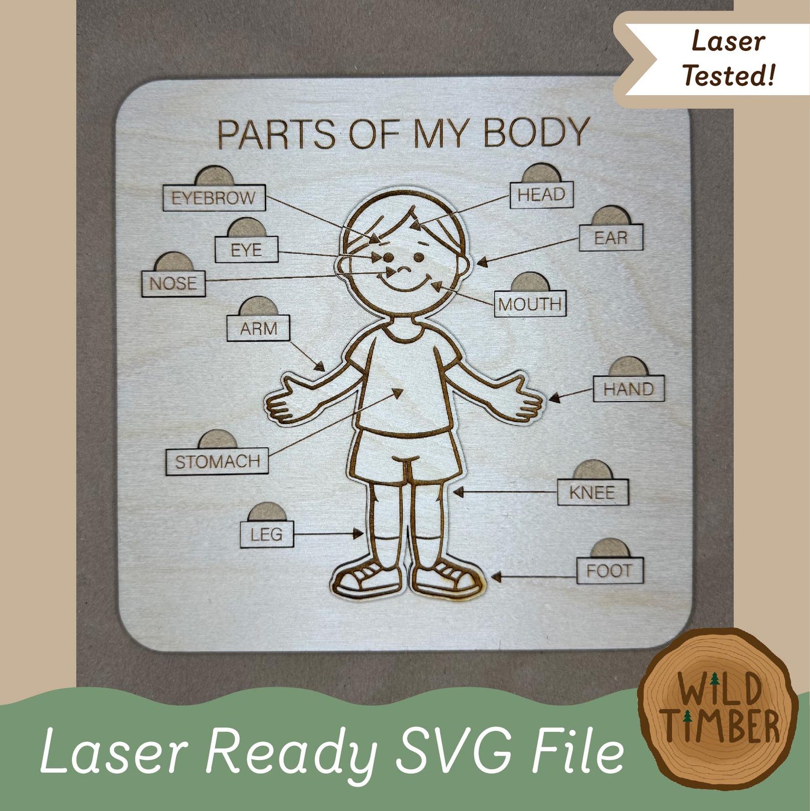 Montessori Body Puzzle SVG: Human Anatomy Laser Cut File (digital ...