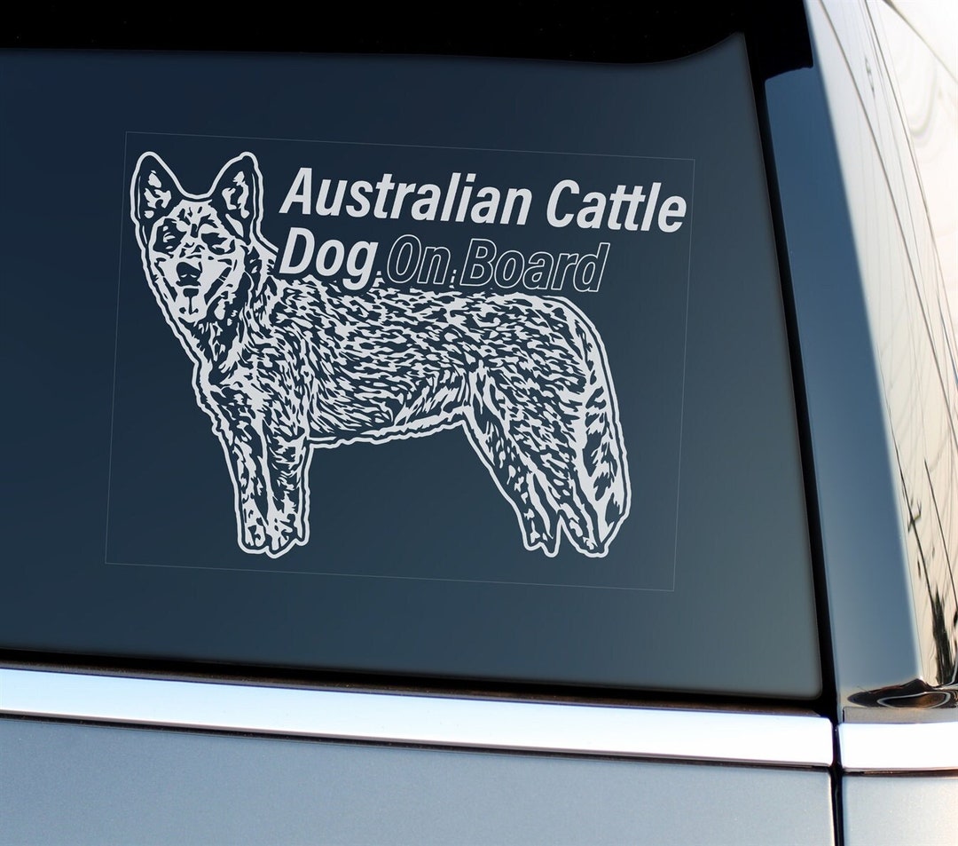 Australian Cattle Sticker Car Window Decal Australian Cattle Decal - Etsy