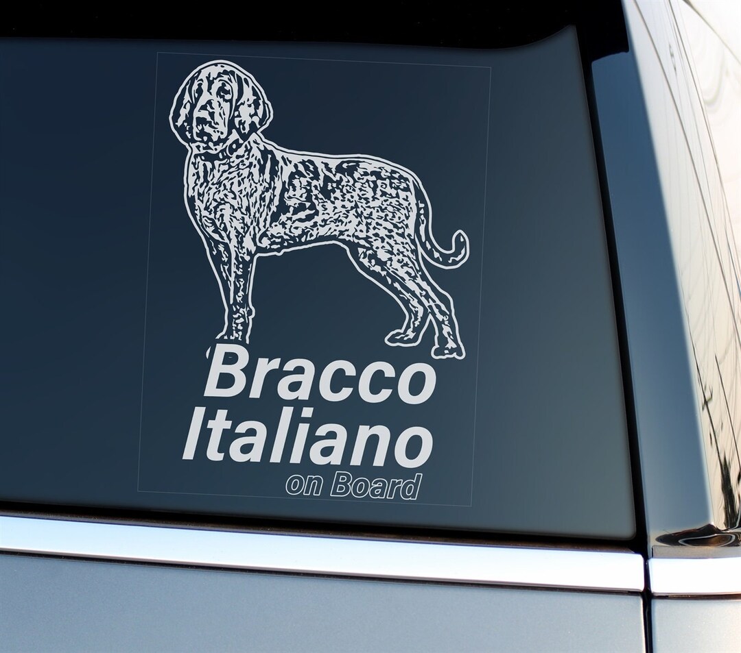 Bracco Italiano Sticker Car Window Decal Bracco Italiano Decal - Etsy