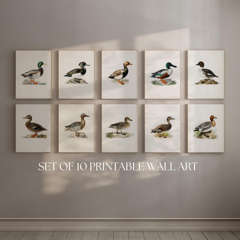 Waterfowl Decor - Etsy