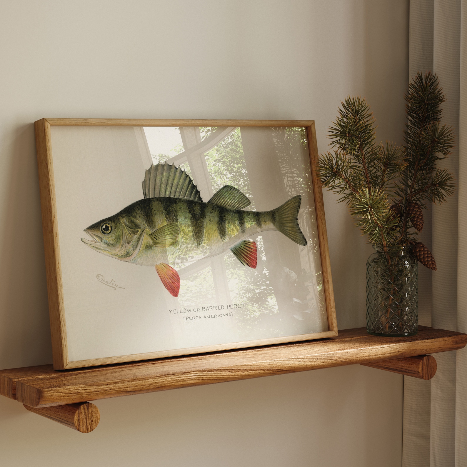 Freshwater Fish Wall Print Set Lake Home Decor Printable Wall Art Man ...