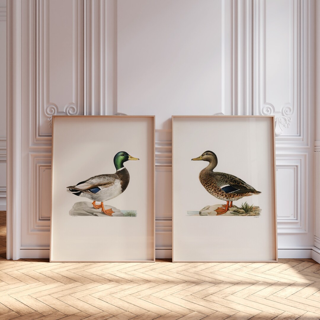 Male and Female Mallard Ducks Wall Print Set of 2 Lake House Decor ...