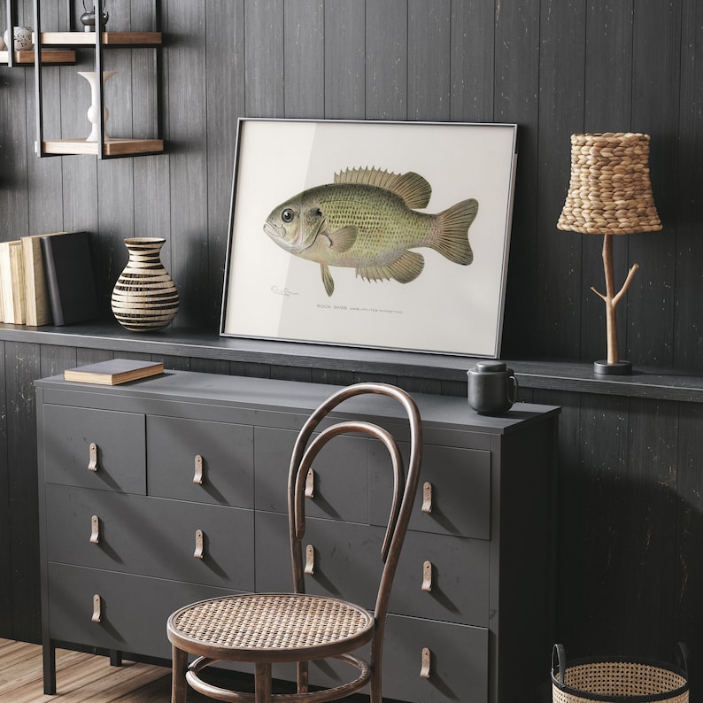Freshwater Fish Wall Print Set Lake Home Decor Printable Wall Art Man ...