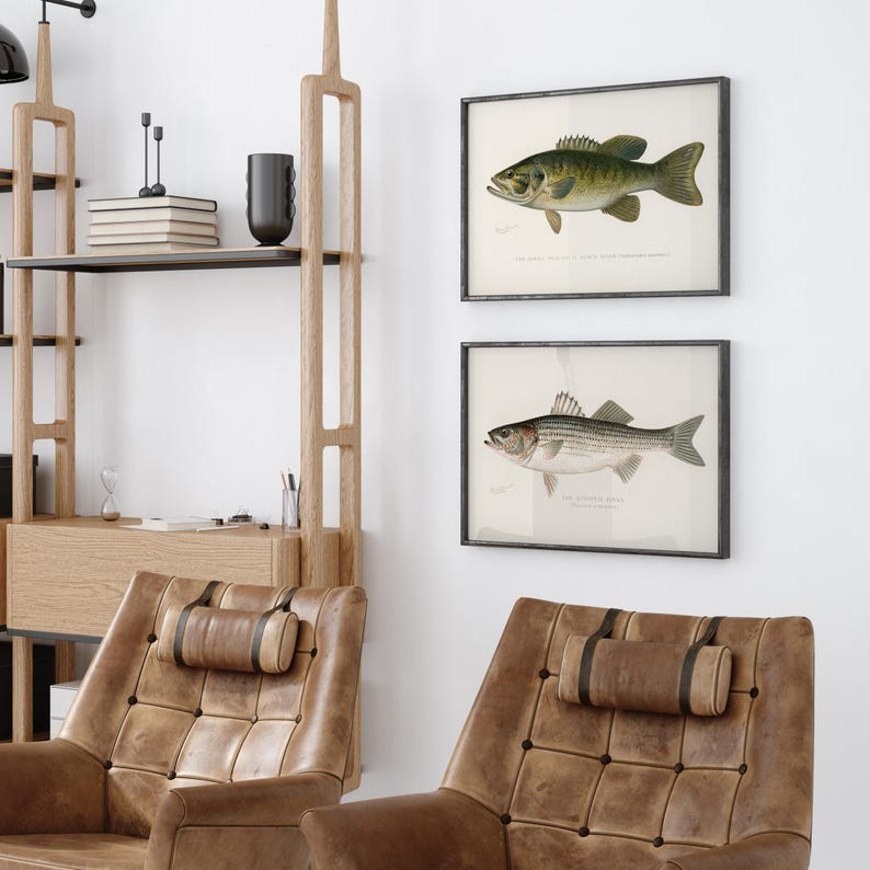 Freshwater Fish Wall Print Set Lake Home Decor Printable Wall Art Man ...