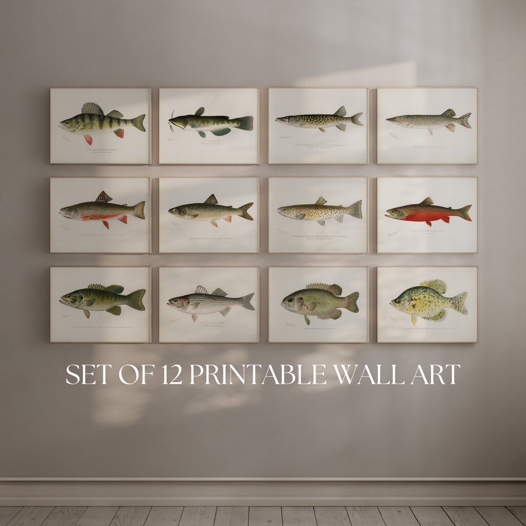 Freshwater Fish Wall Print Set Lake Home Decor Printable Wall Art Man ...