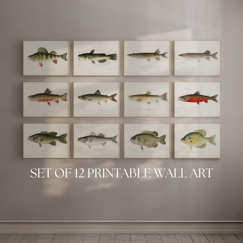 Freshwater Fish - Etsy