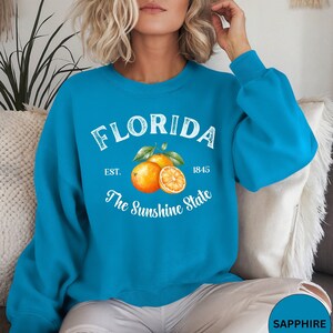 Retro Florida Sweatshirt, Aesthetic Sweatshirt, Beach Crewneck, Florida ...