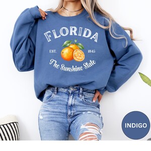 Retro Florida Sweatshirt, Aesthetic Sweatshirt, Beach Crewneck, Florida ...