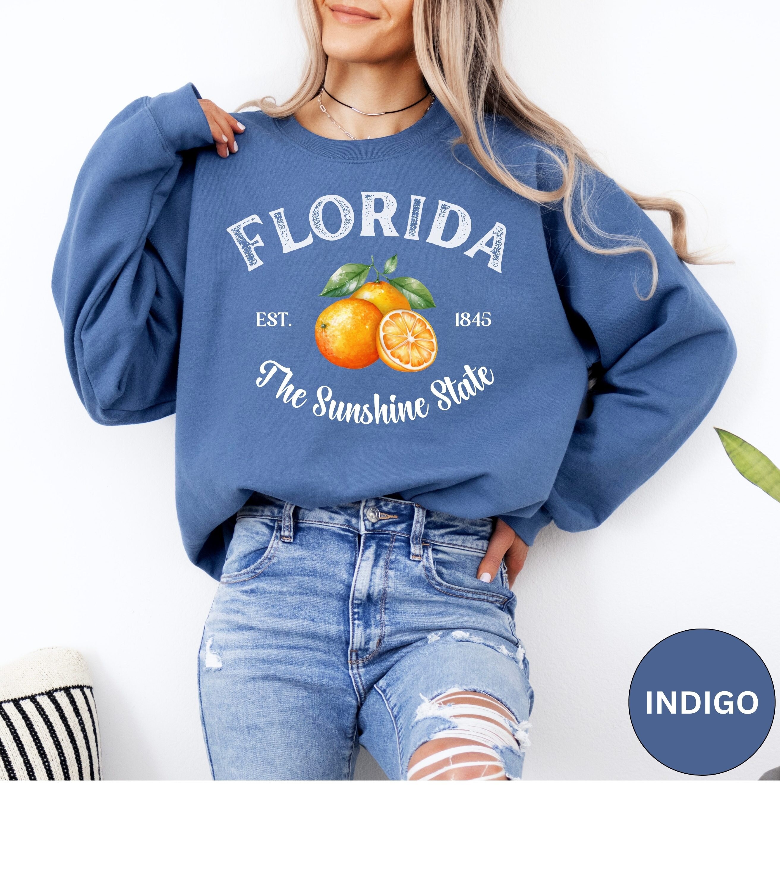 Retro Florida Sweatshirt, Aesthetic Sweatshirt, Beach Crewneck, Florida ...