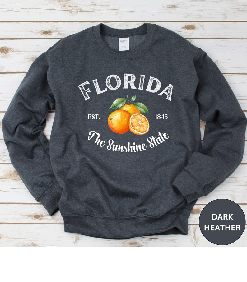 Retro Florida Sweatshirt, Aesthetic Sweatshirt, Beach Crewneck, Florida ...