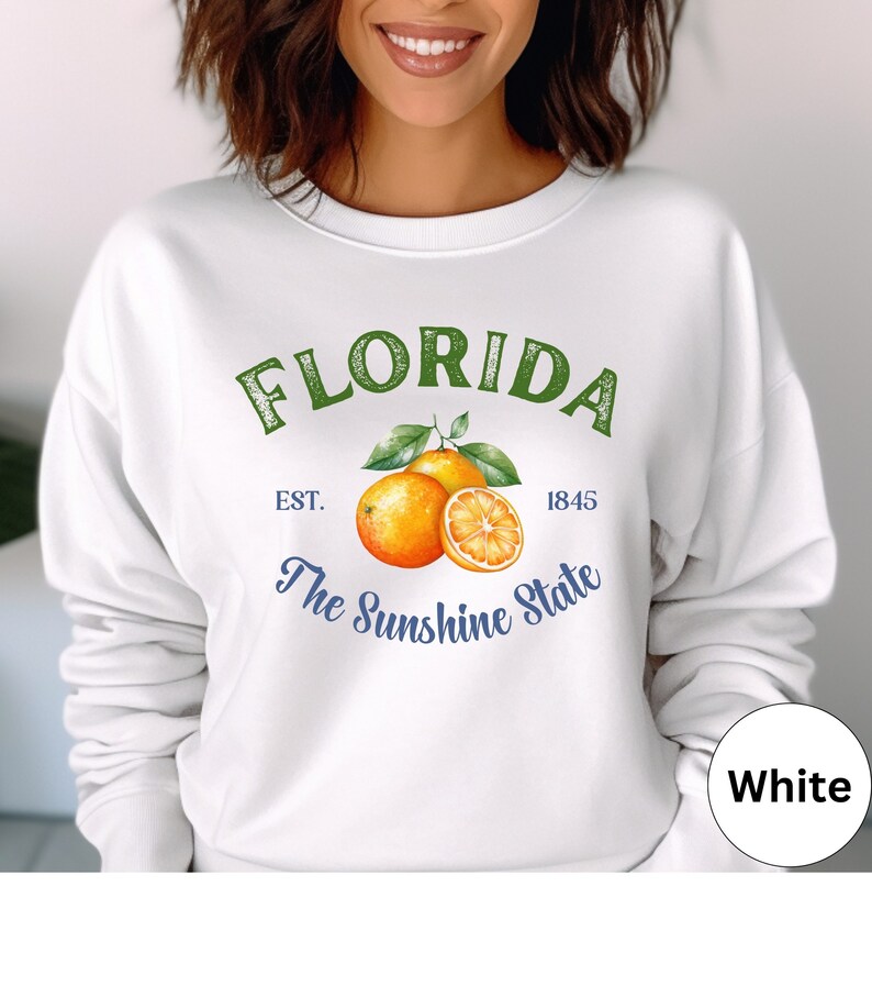 Retro Florida Sweatshirt, Aesthetic Sweatshirt, Beach Crewneck, Florida ...