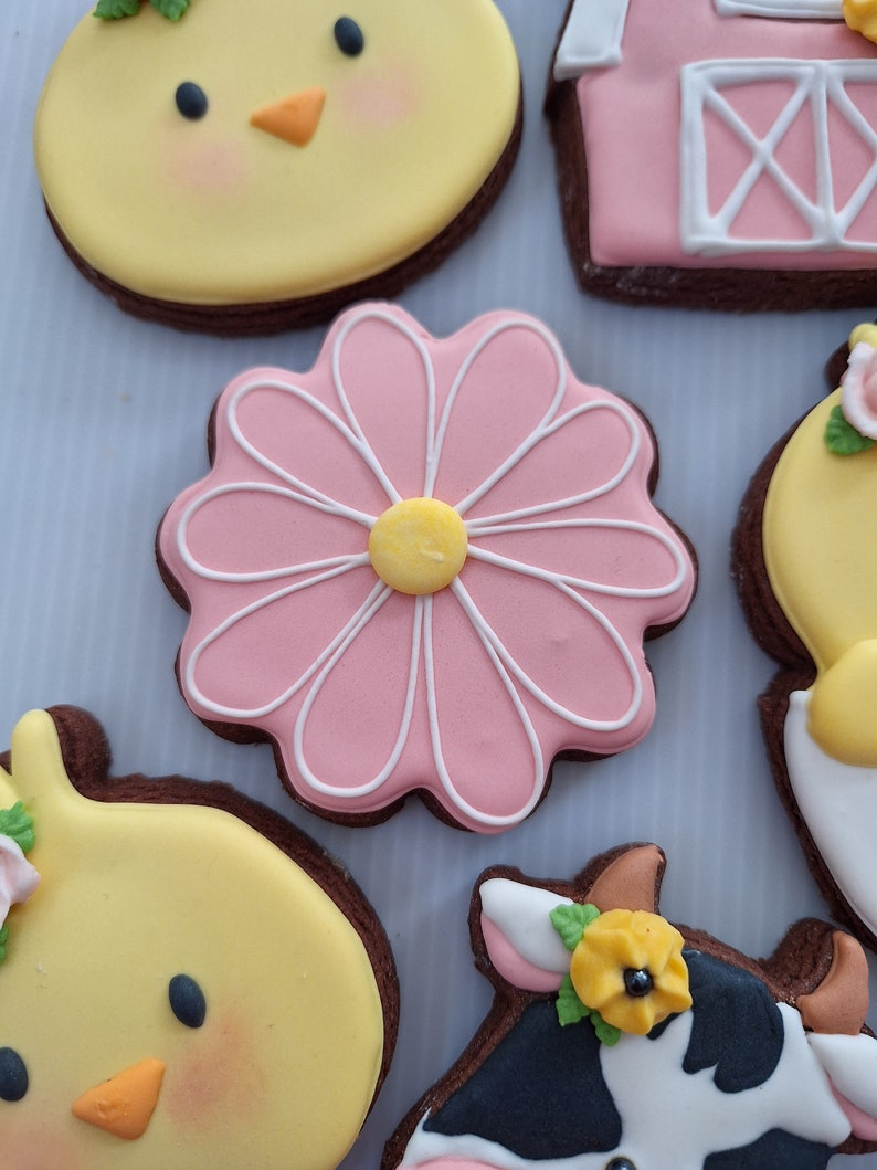Farm Animal Birthday Cookies - Etsy