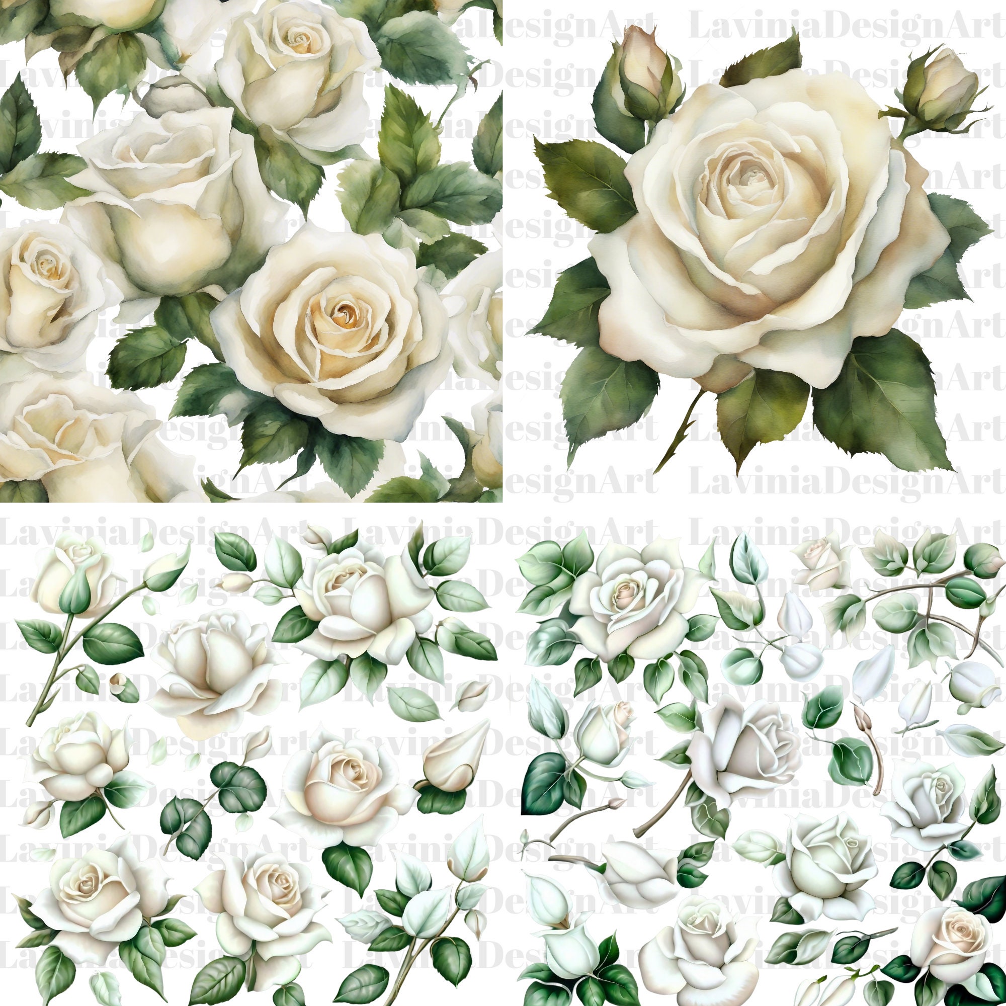 White Rose Clipart Floral Watercolor Borders Rose Clipart Flower ...
