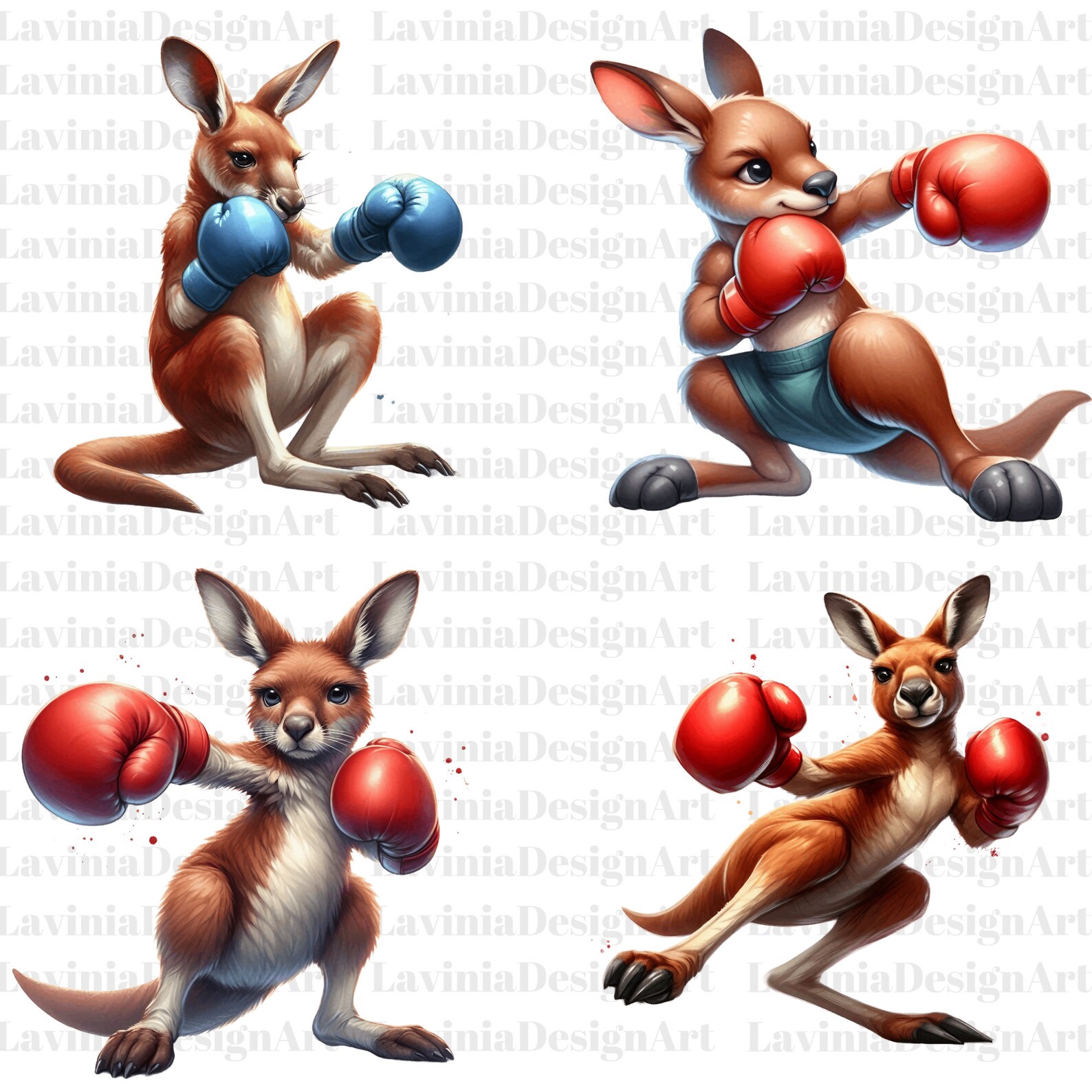 Boxing Kangaroo Clipart Watercolor Kangaroo Clipart Kangaroo Png Animal ...