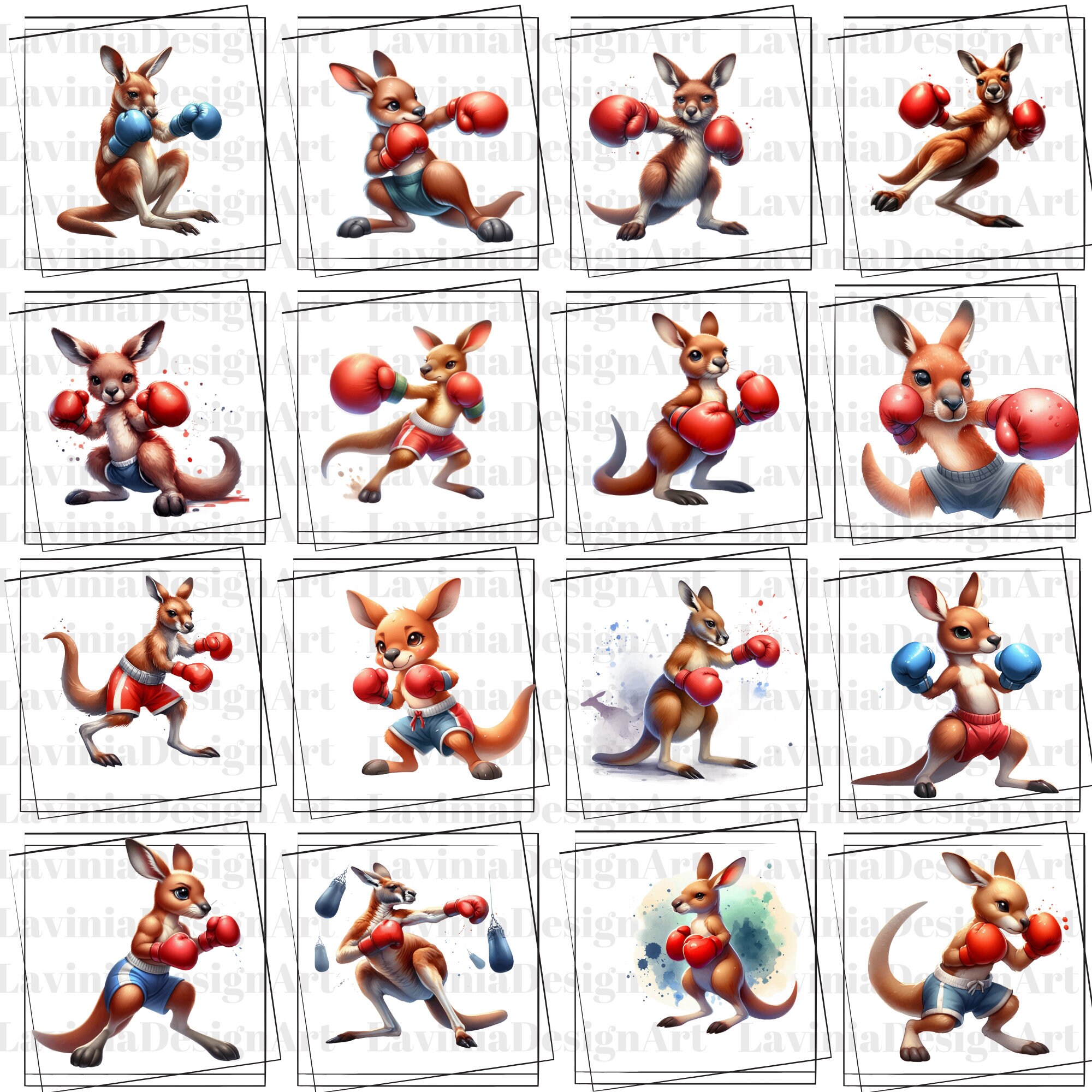 Boxing Kangaroo Clipart Watercolor Kangaroo Clipart Kangaroo Png Animal ...