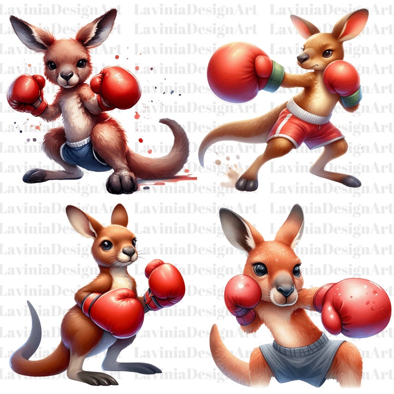 Boxing Kangaroo Clipart Watercolor Kangaroo Clipart Kangaroo Png Animal ...