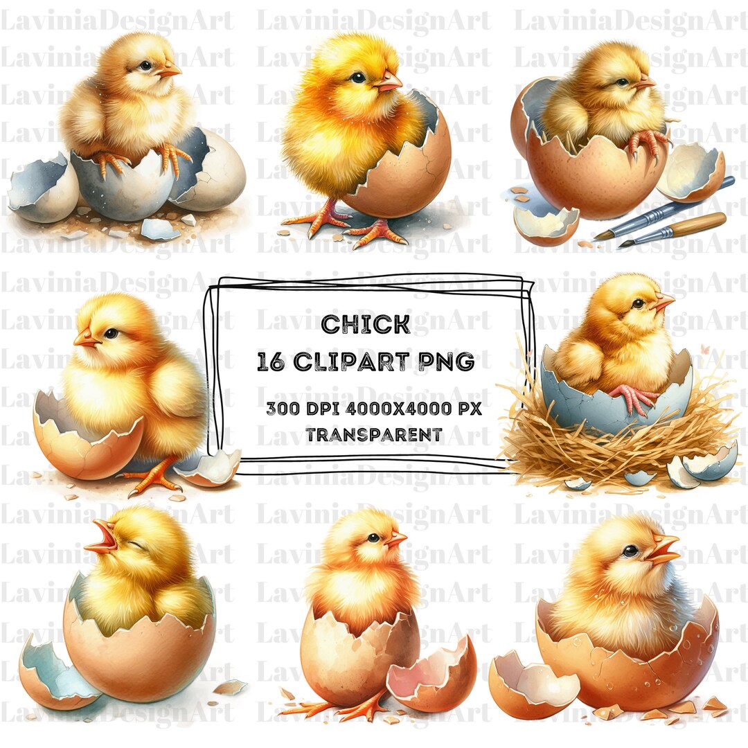 Chick Watercolor Clipart | Chick PNG | Chicken Clipart | Chicken ...