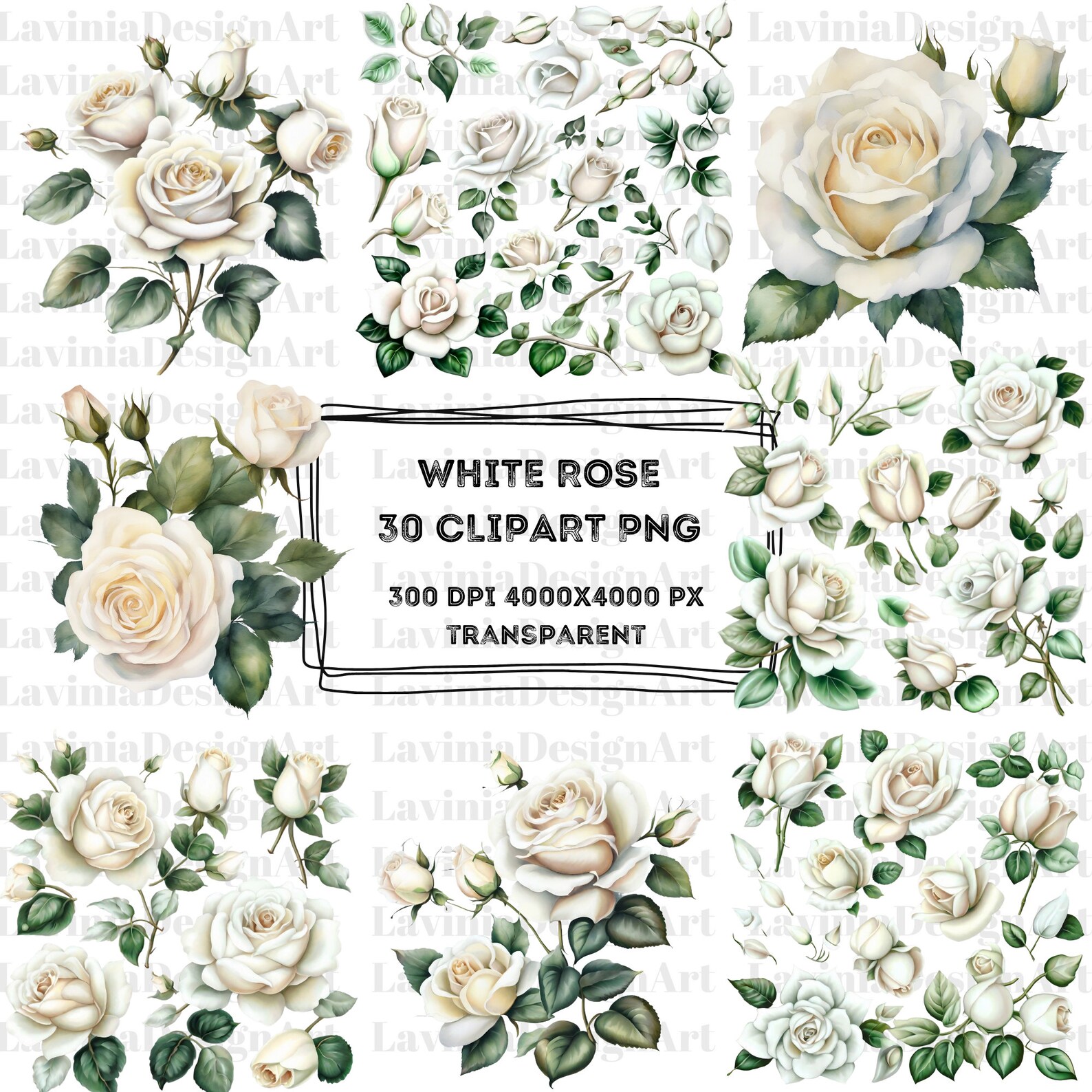 White Rose Clipart Floral Watercolor Borders Rose Clipart Flower ...