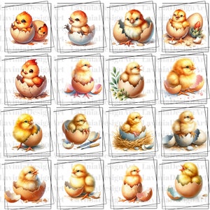 Chick Watercolor Clipart | Chick PNG | Chicken Clipart | Chicken ...