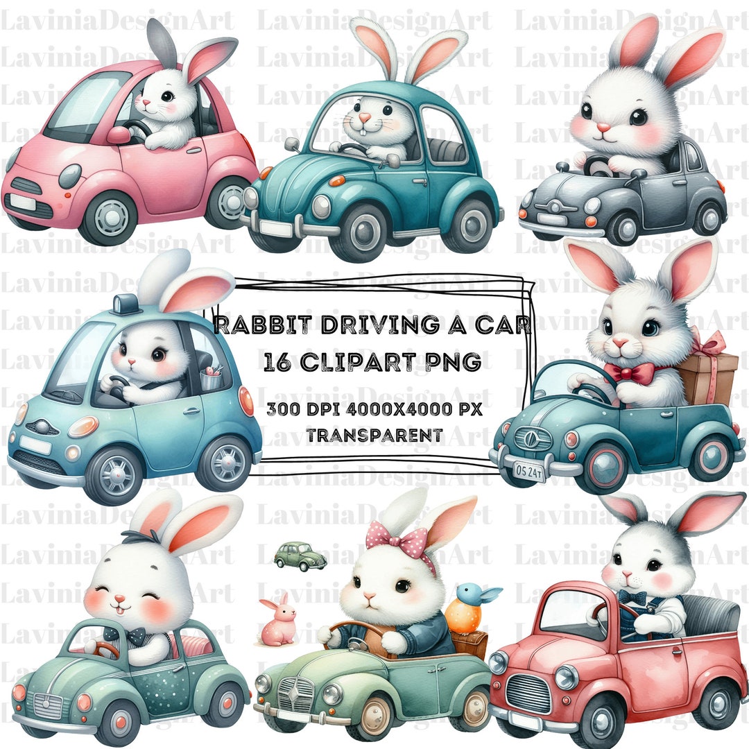 Rabbit Driving a Car Clipart Watercolor | Rabbit Png | Drive Car ...