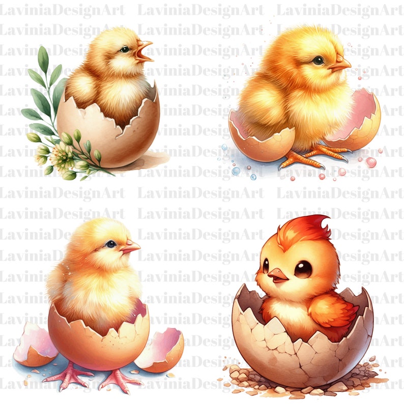 Chick Watercolor Clipart Chick PNG Chicken Clipart Chicken Watercolor ...