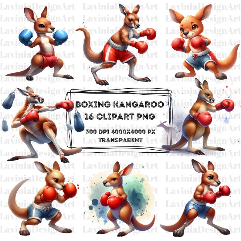 Boxing Kangaroo Clipart Watercolor | Kangaroo Clipart | Kangaroo Png ...