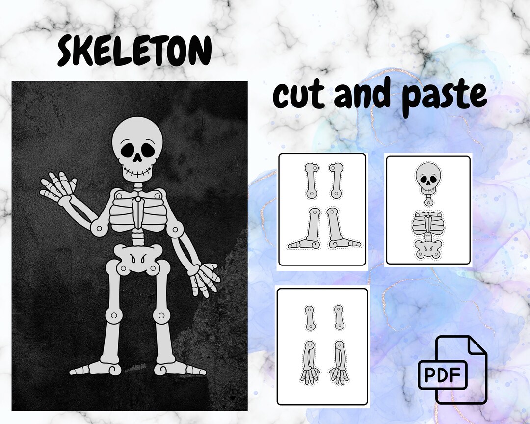 Cut and Paste Activity of the Skeletal System From Parts of Human ...