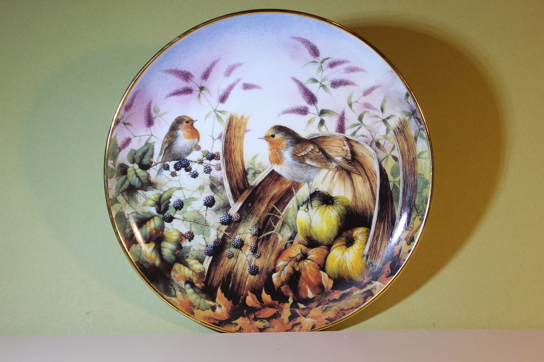 Vintage Danbury Mint Plate Four Seasons of Robins Collection - Etsy