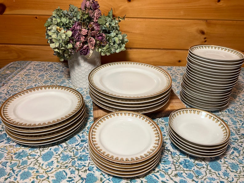 41 Pieces HAVILAND FRANCE SCHLEIGER 574 Dinnerware, Vintage China ...