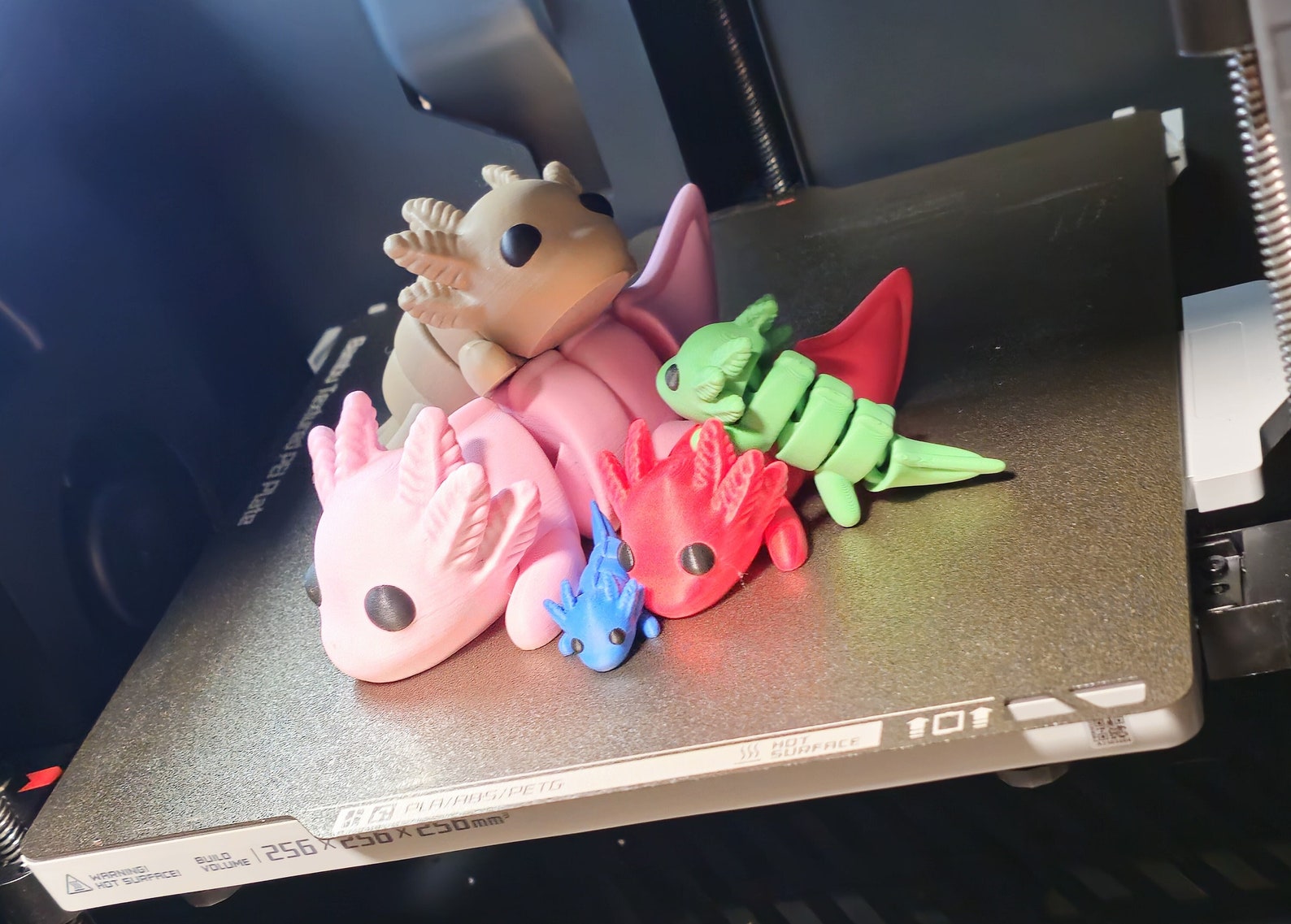 Wiggly Baby Axolotl - 3D Printed Girl Scout Mascot Axolotl Fidget Toy ...